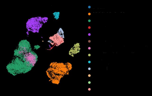 Organs - Tabula Sapiens